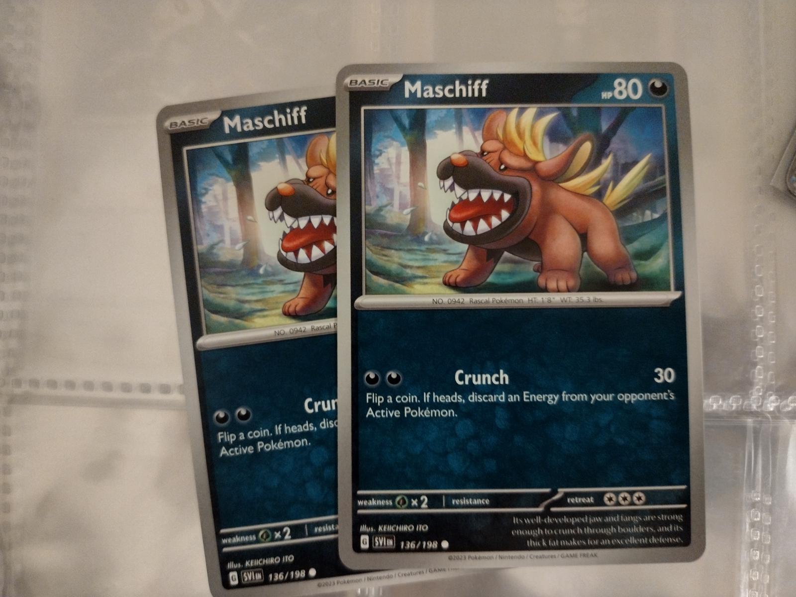 Maschiff | Ungraded | Pokemon Scarlet & Violet