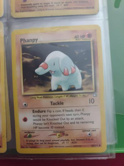 Phanpy | PSA 10 | Pokemon Neo Genesis