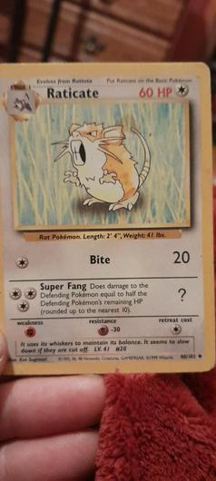 Raticate [1st Edition] | Ungraded | Pokemon Base Set