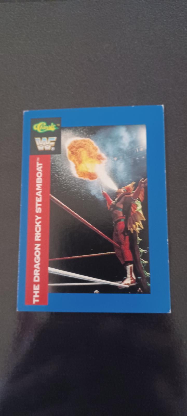 Ricky Steamboat | Ungraded | 1991 Classic WWF