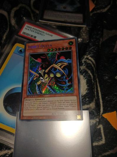 Insect Queen | Ungraded | YuGiOh Speed Duel: Streets of Battle City