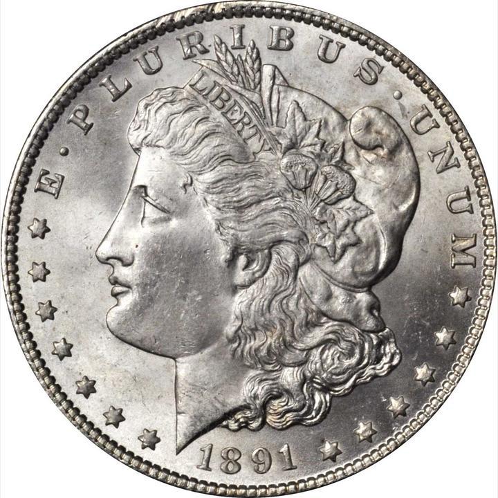 1891 [DOUBLE DIE] Morgan Dollar Prices | Ungraded, NGC, PCGS Values