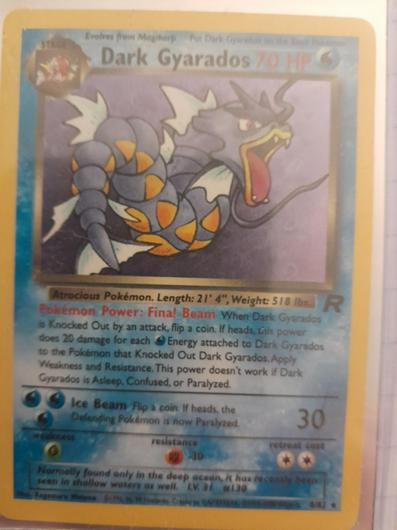 Dark Gyarados | Ungraded | Pokemon Team Rocket