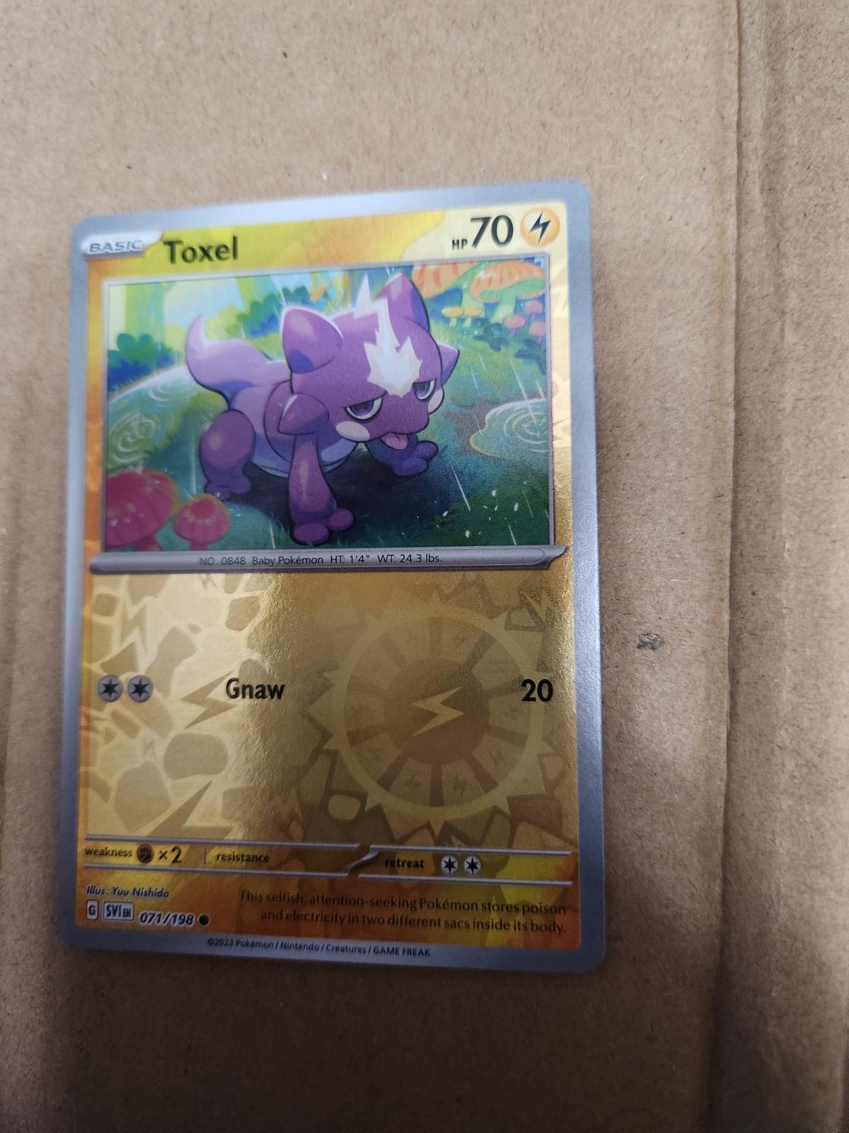 Toxel [Reverse Holo] | Ungraded | Pokemon Scarlet & Violet