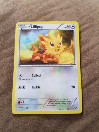 Lillipup #81 Prices | Pokemon Black & White | Pokemon Cards