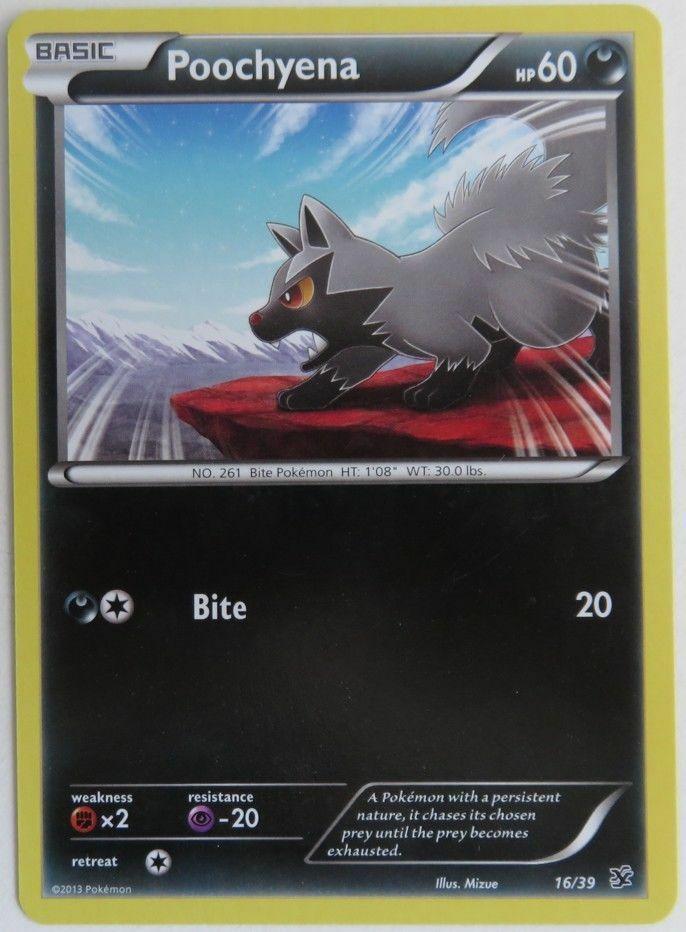 Poochyena #16 Prices | Pokemon Kalos Starter | Pokemon Cards