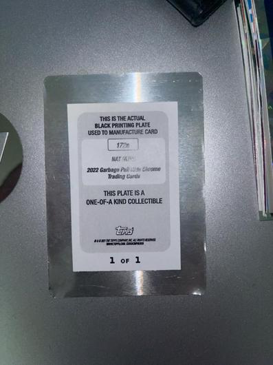 NAT Nerd [Printing Plate] | Ungraded | 2022 Garbage Pail Kids Chrome