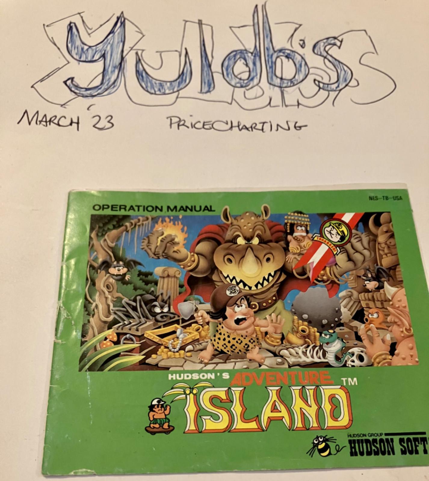 Adventure Island | Manual only | NES