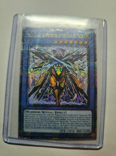 Skull Guardian, Protector of the Voiceless Voice [Quarter Century Rare ...