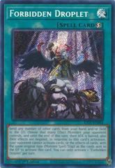 Forbidden Droplet [Platinum Secret Rare] RA01-EN064 Prices | YuGiOh ...