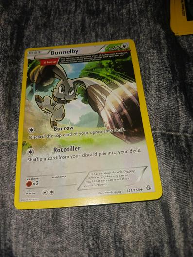 Bunnelby | Ungraded | Pokemon Primal Clash