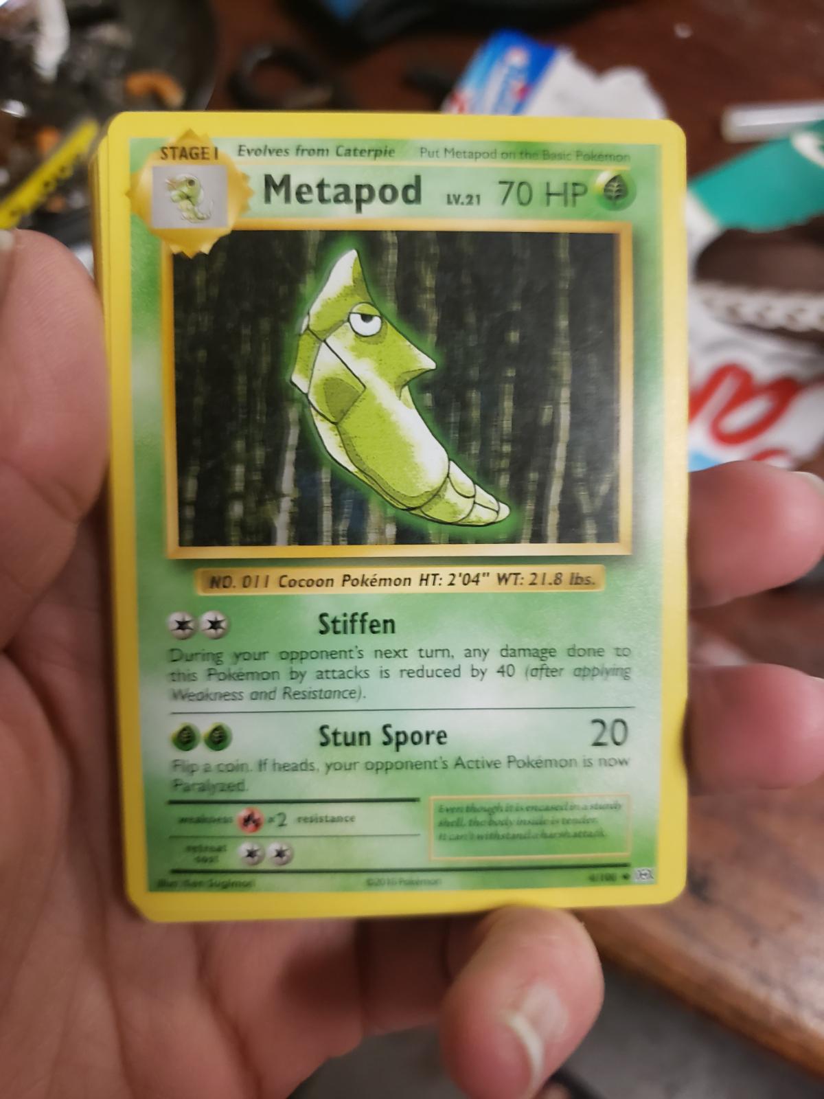 Metapod | Ungraded | Pokemon Evolutions