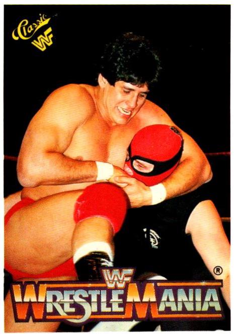 Tito Santana, Masked Executioner #2 Prices | 1990 Classic WWF The ...