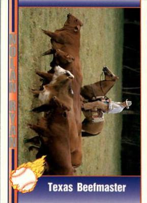 Texas Beefmaster | PSA 10 | 1991 Pacific Nolan Ryan