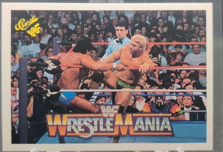 Dino Bravo, Don Muraco #59 Prices | 1990 Classic WWF The History of ...