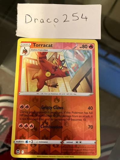 Torracat [Reverse Holo] | Ungraded | Pokemon Silver Tempest
