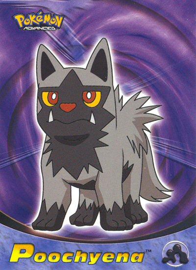 Poochyena #64 Prices | Pokemon 2003 Topps Advanced | Pokemon Cards