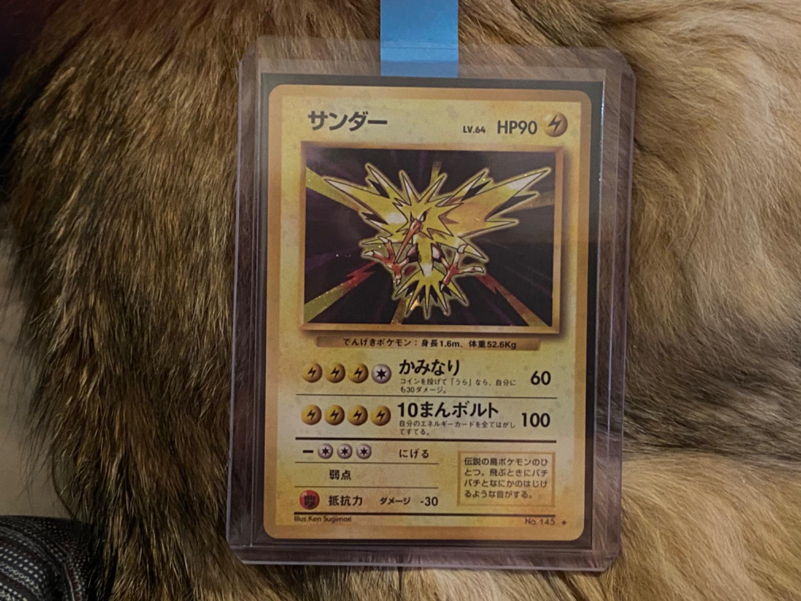 Zapdos #145 Prices | Pokemon Base Set | Pokemon Cards