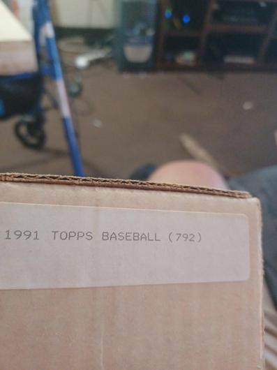 Complete Set | Ungraded | 1991 Topps