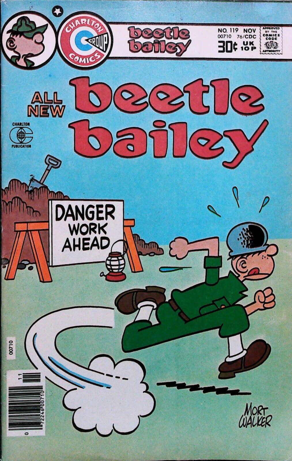 Beetle Bailey #119 (1976) Prices | Beetle Bailey Series