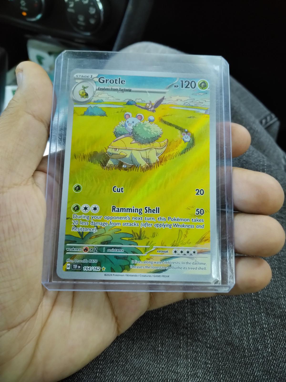 Grotle | Ungraded | Pokemon Temporal Forces