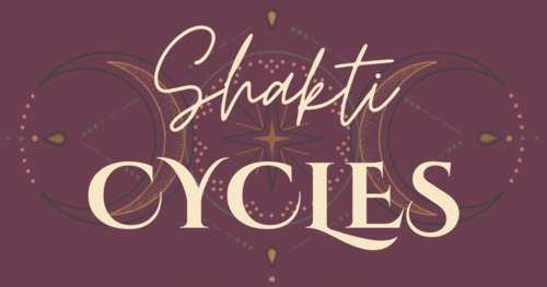 Shakti Cycles - Store