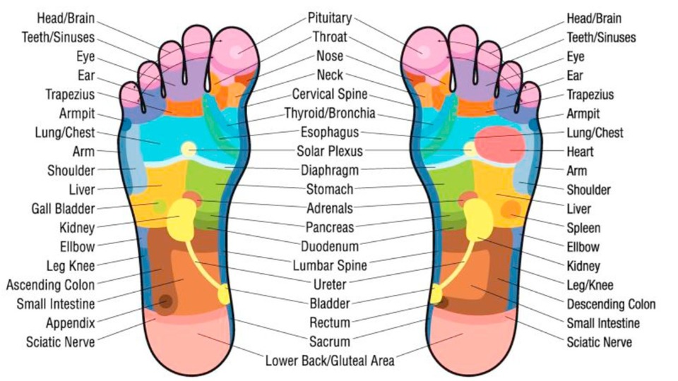 Reflexology (60 minutes)
