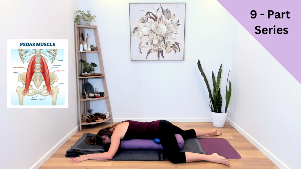 The Supportive Psoas