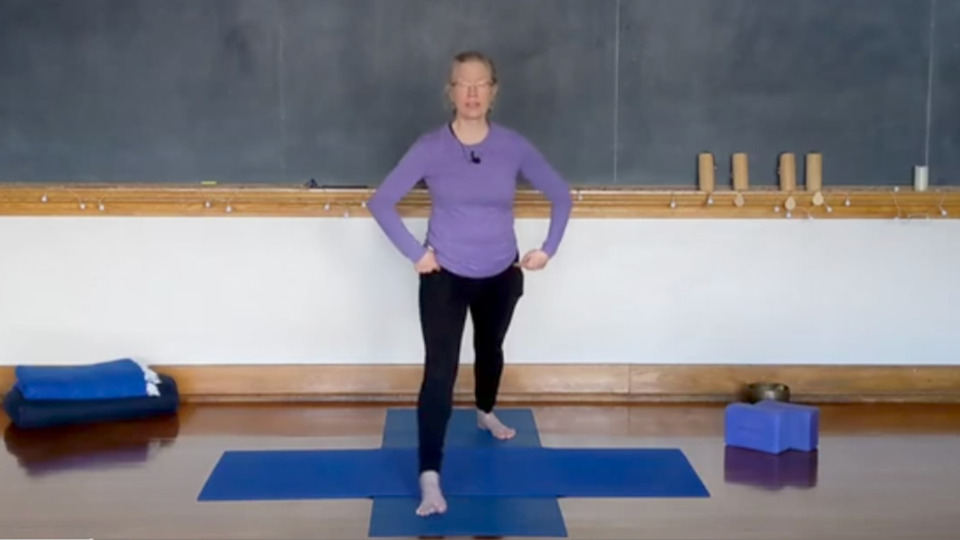 The Sacroiliac joint in Standing Poses (28 min)