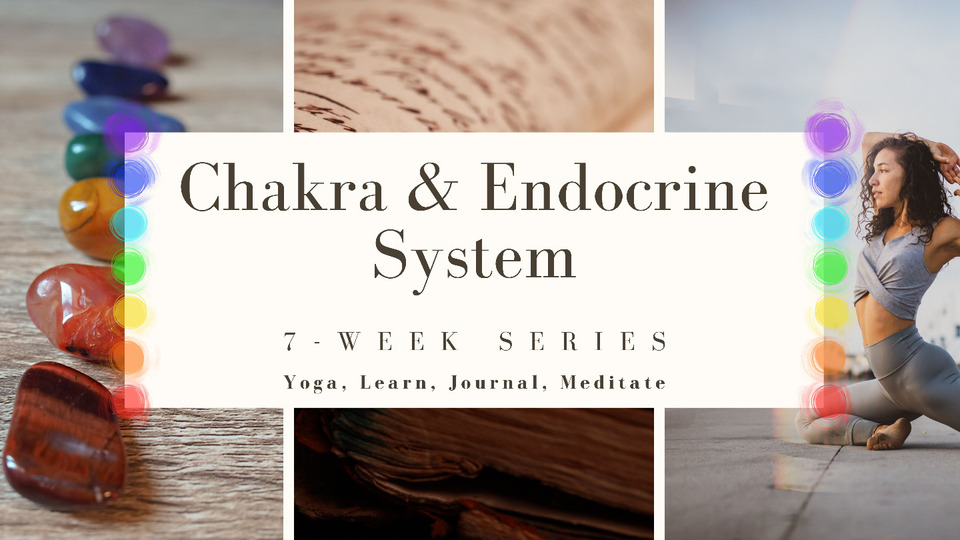 Chakra Yoga & Endocrine system videos