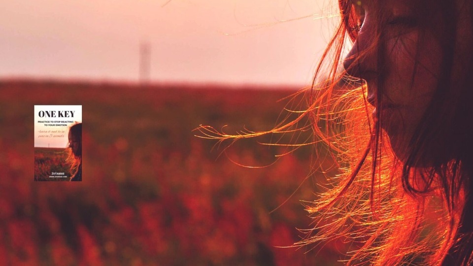 ONE KEY Practice to Stop Reacting to Your Emotions -- Ebook