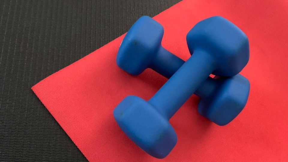 Recorded Zoom Dumbbell Circuit