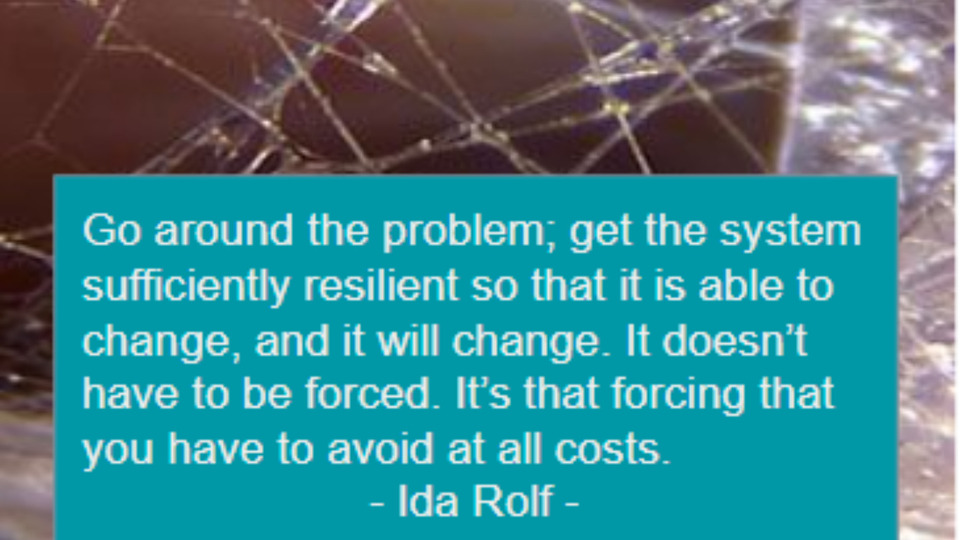 Aging Fearlessly - Autumn Series