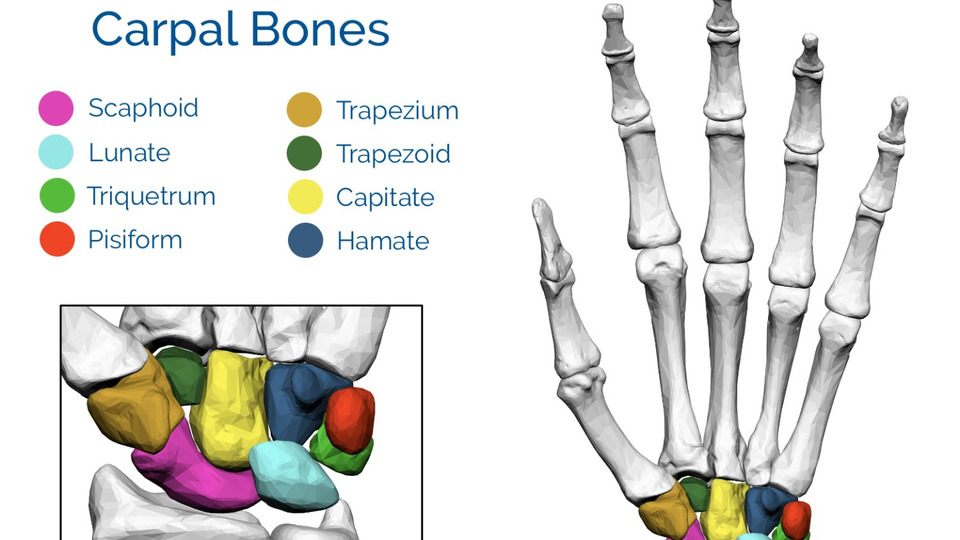 Mat Class: Heel of Hand