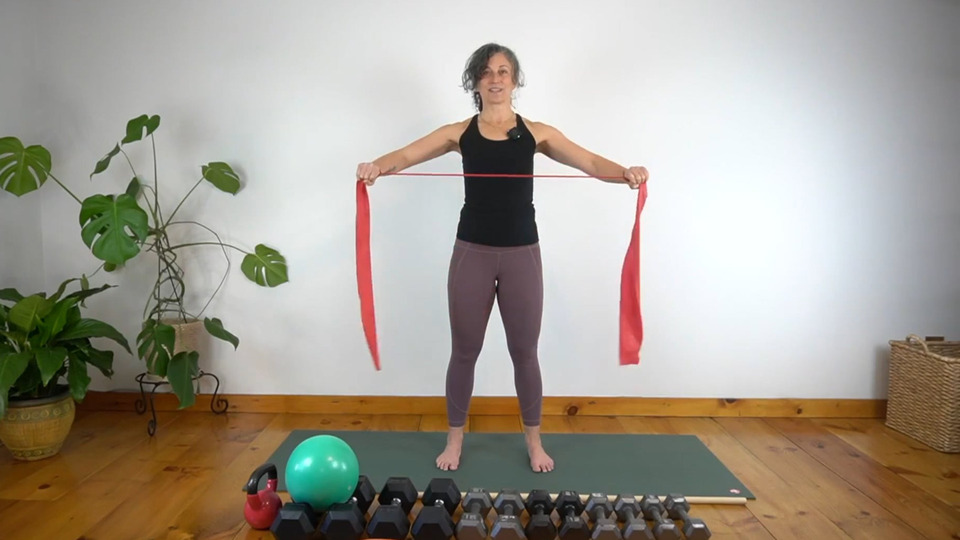 Banded Tricep Press Outs (Triceps)