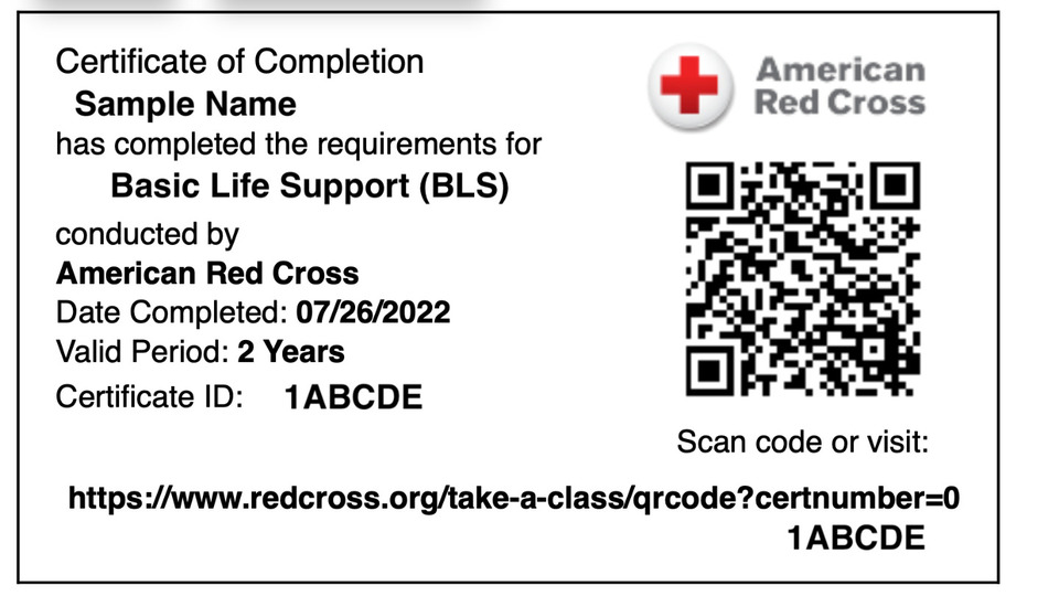 American Red Cross (ARC) BLS : Online Module for Blended Class