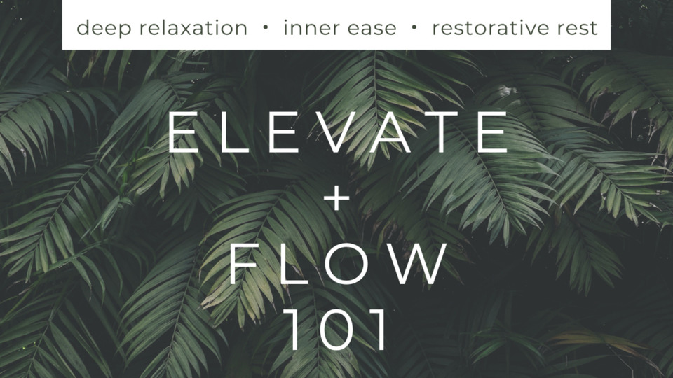 Elevate + Flow 101 Experience @ Elevate Well STL