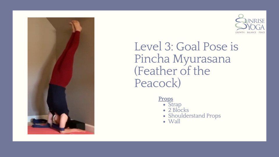 Goal pose = pincha myurasana (feather of the peacock) - 48 minutes