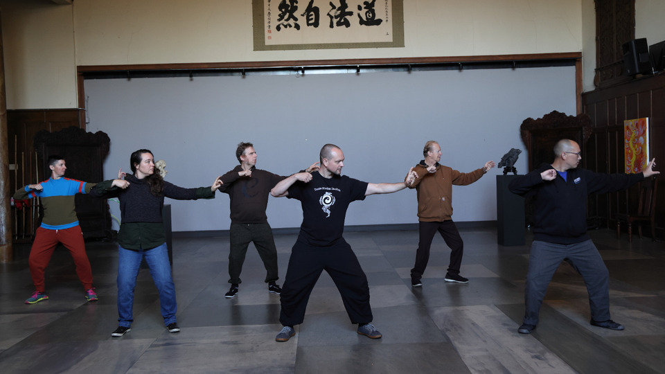 Foundations of Taoist Practice Series: Postural Principles & Standing ...