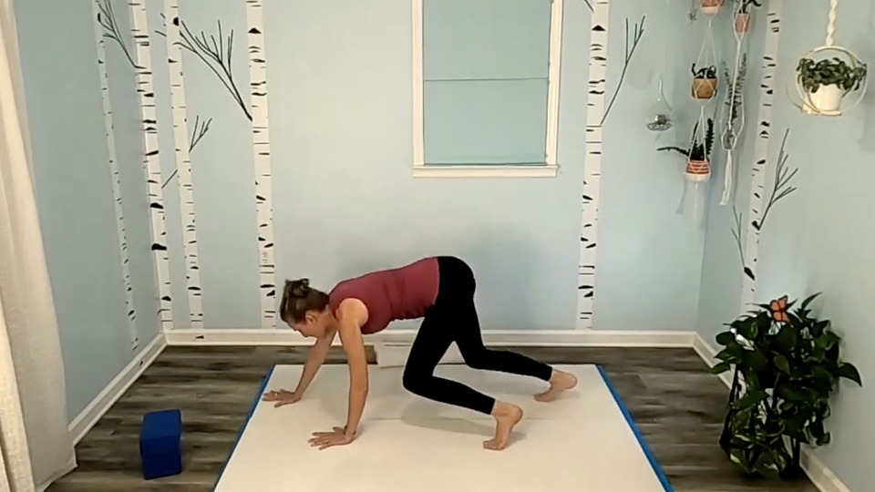 Primal Moves & Standing Poses + Balancing Shiva ~ Functional Focus