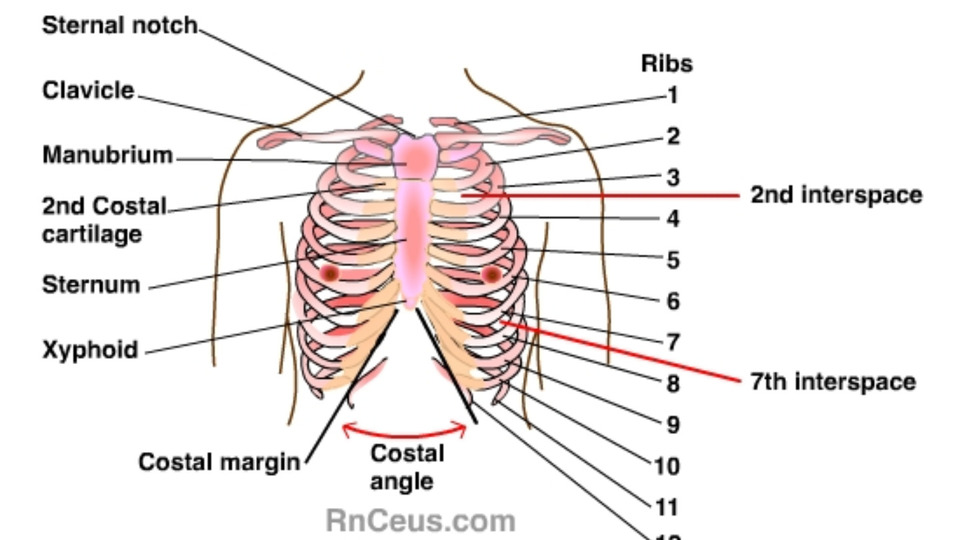Mat Class: 10th Rib