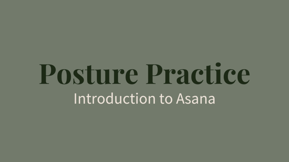 Posture Practice