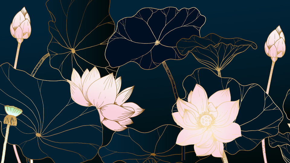 Vital Essence Flow | Gentle Vinyasa & Sound Meditation