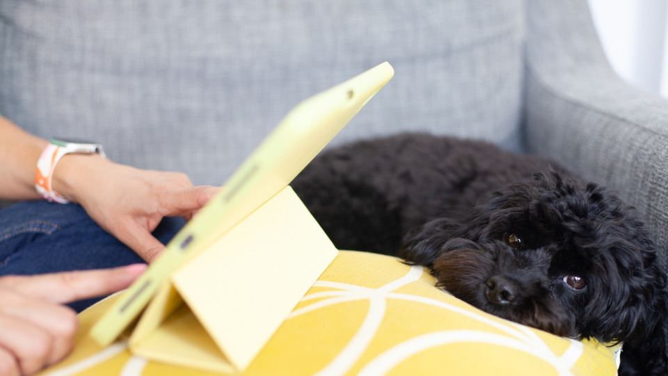 Kerry Hicks - Home - Offerings