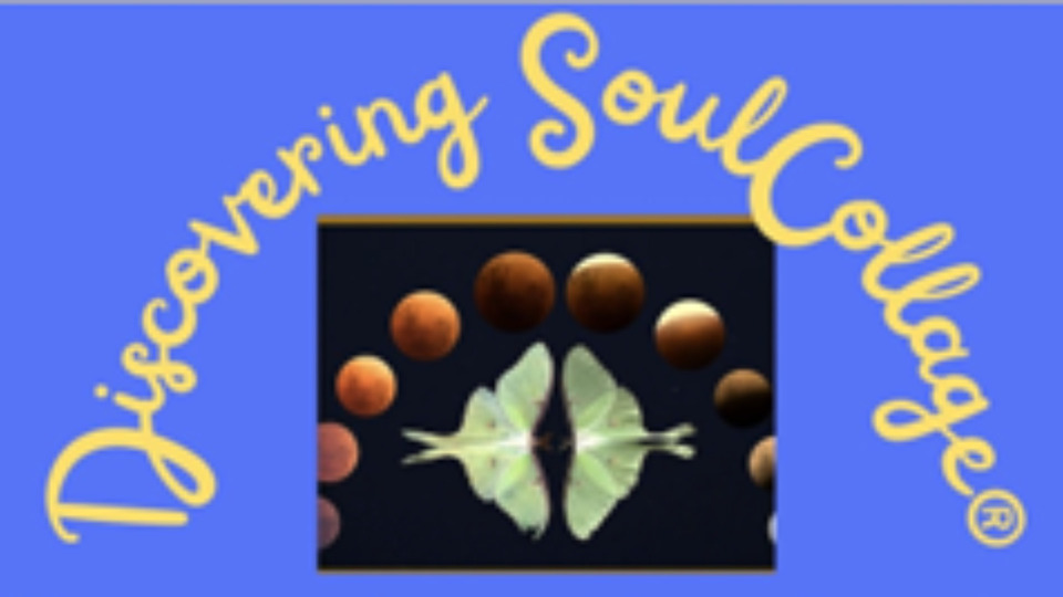 Starcell Studio - Offerings