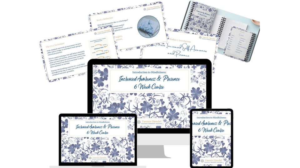 Kick Start Your Mindfulness Journey - 6 Week Course