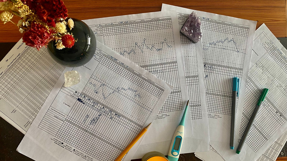 Cycle Mapping Method: Charting for Contraception