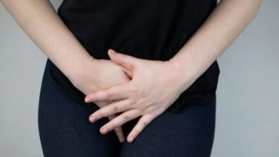 What is the Pelvic Floor