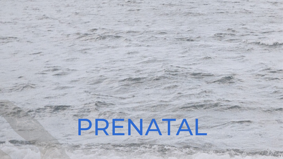 Prenatal Collection