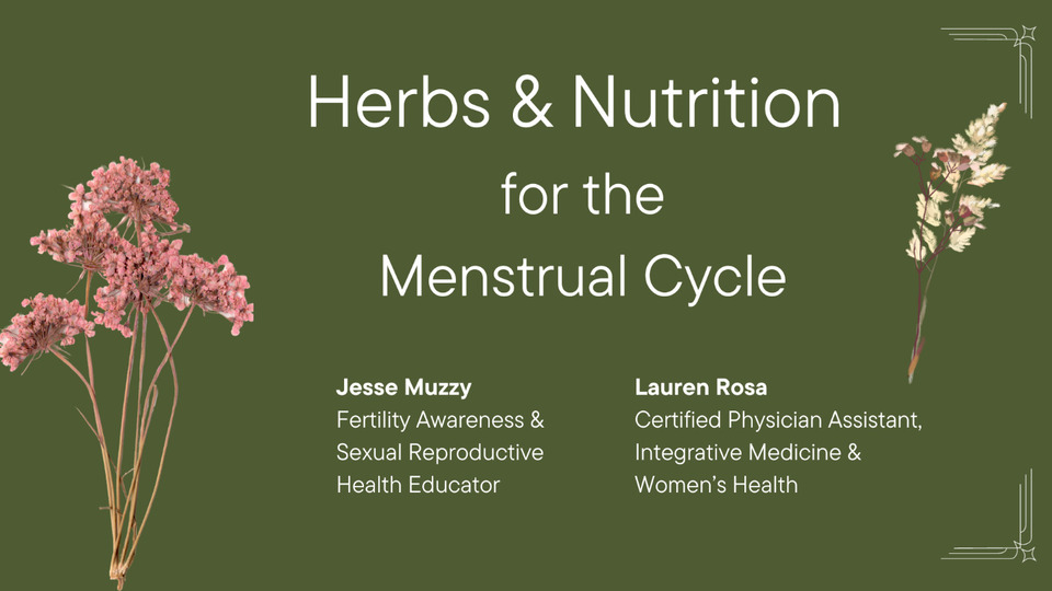 Herbs And Nutrition For Menstrual Cycle Health